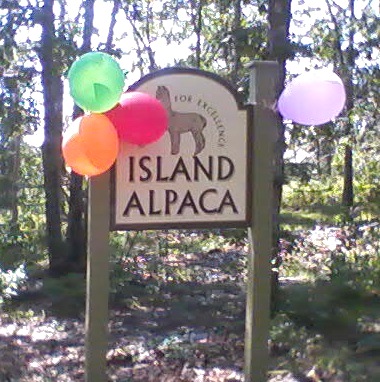 alpaca farm, alpaca for sale, alpaca breeding, alpaca clothing, alpaca ...